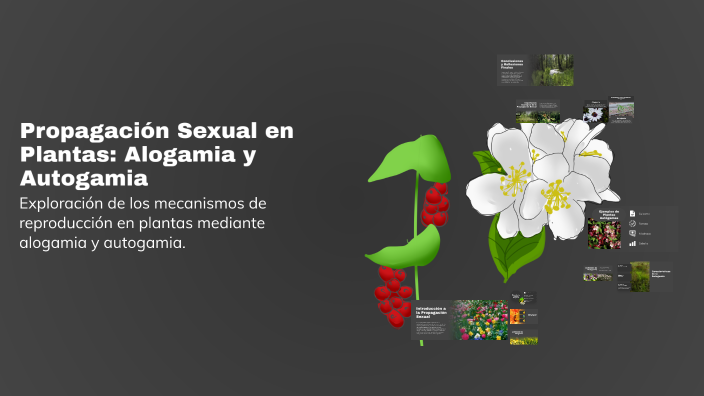 Propagación Sexual en Plantas: Alogamia y Autogamia by Jose Sanchez on ...