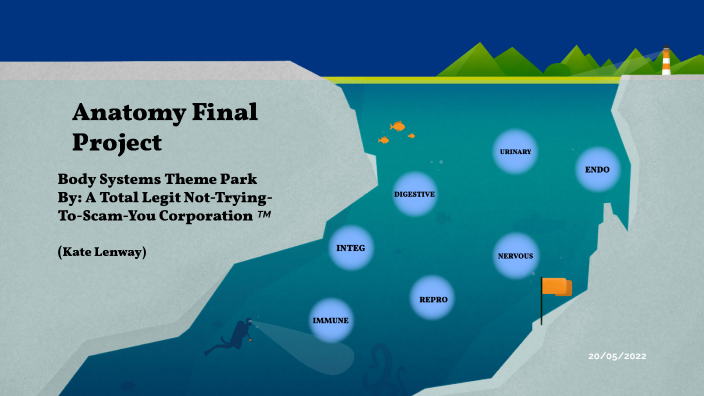 Anatomy Final Project by KATE LENWAY on Prezi