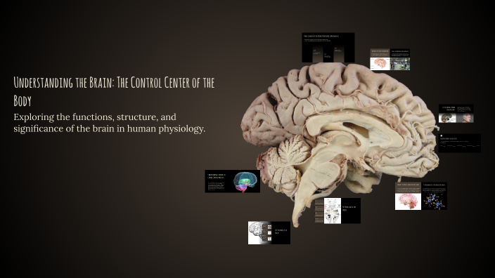 Understanding the Brain: The Control Center of the Body by Lawand Hemn ...