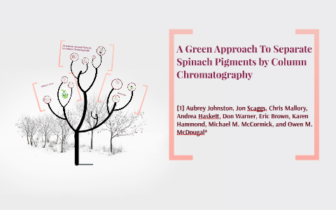 A Green Approach To Separate Spinach Pigments by Column Chro by Dogacan ...