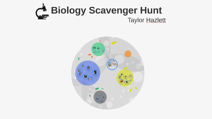 Biology Scavenger Hunt by Taylor Hazlett on Prezi