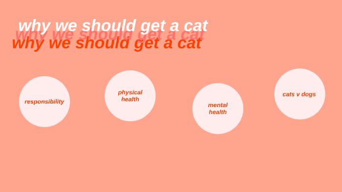 why we should get a cat by sierra sierra on Prezi