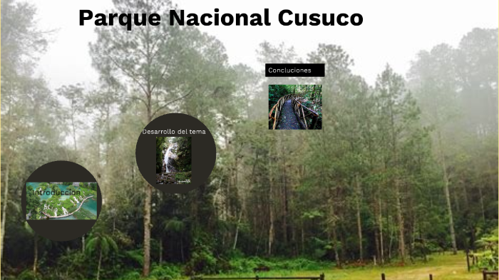 Parque Nacional Cusuco by Juan Rodolfo Zelaya Calderon on Prezi