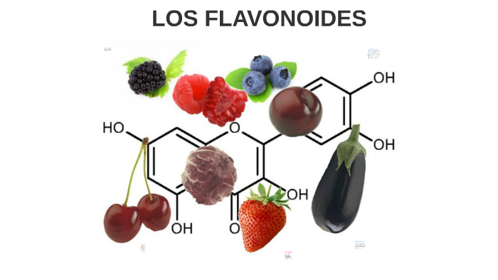 LOS FLAVONOIDES by Cristian Geovany Paz Fernandez on Prezi