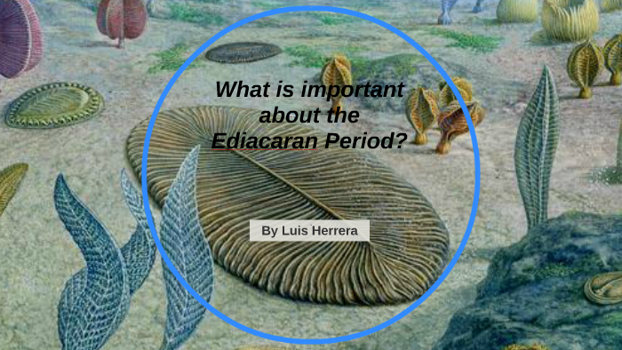 What is important about the Ediacaran Period? by Luis Herrera on Prezi