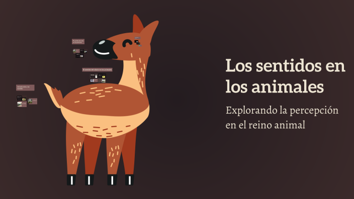 Los sentidos en los animales by Ahilin Garzon on Prezi