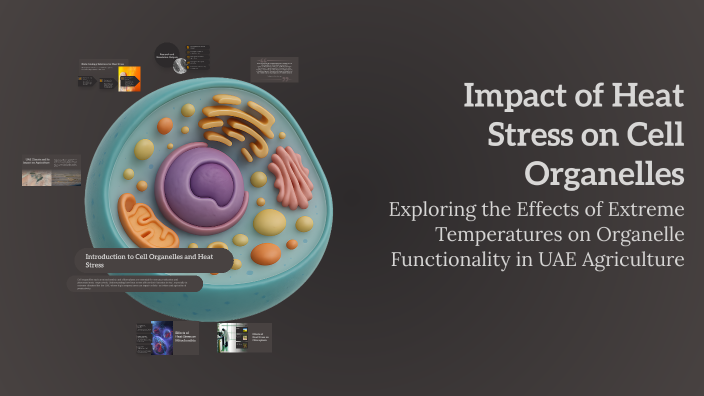 Impact of Heat Stress on Cell Organelles by MOHAMMAD DAWOOD A. OTHMAN ...