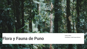 flora y fauna de puno by Alheli melany Vasquez machaca on Prezi Design