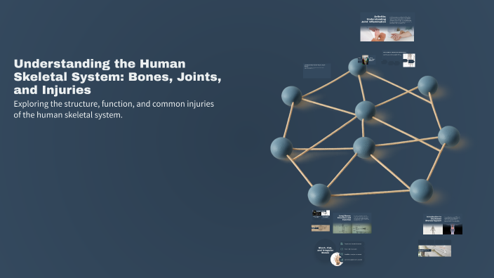 Understanding the Human Skeletal System: Bones, Joints, and Injuries by ...
