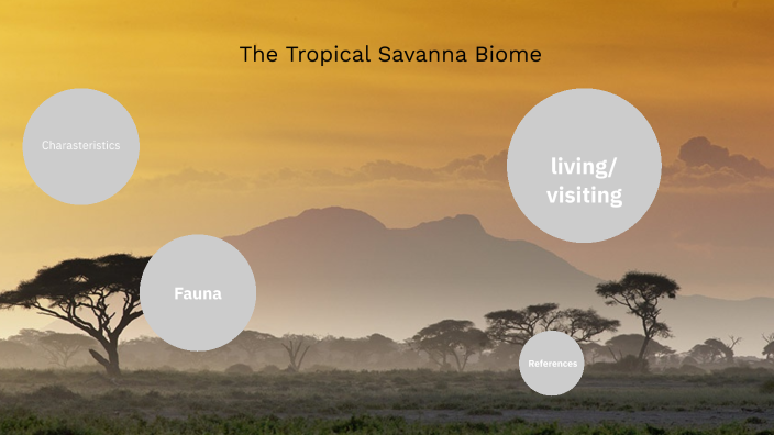 Tropical Savanna biome project by Dean Nelson-Student on Prezi