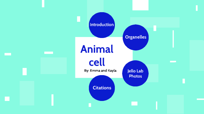 Emma & Kayla Animal Cell Presentation by Emma Braswell on Prezi