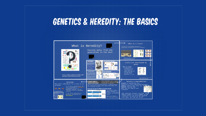 Genetics & heredity: the Basics by Brian Miller on Prezi
