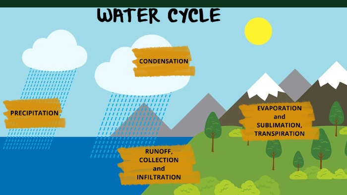 Clil Water cycle by Isotta Balu on Prezi