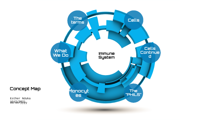 Anatomy Concept Map by Esther Nduka on Prezi