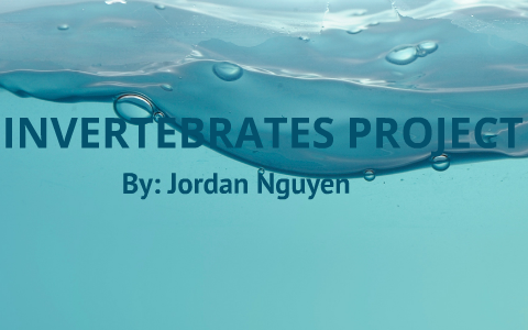 INVERTEBRATES PROJECT by Jordan Nguyen on Prezi