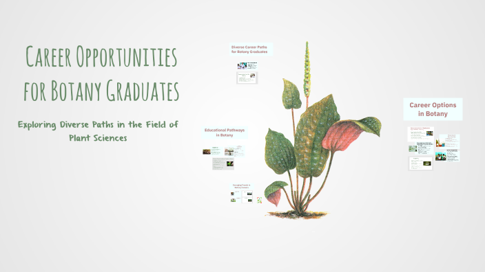 Career Opportunities for Botany Graduates by SP Karan on Prezi