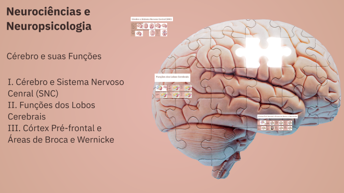 Aula 4 - Neurociências e Neuropsicologia by Higor Sousa Paiva on Prezi