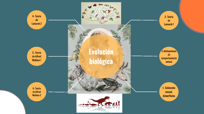 Evolución biológica by Katty Morejon on Prezi