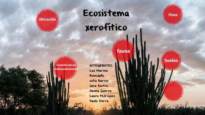 Ecosistema xerofítico by Sofia Barros on Prezi
