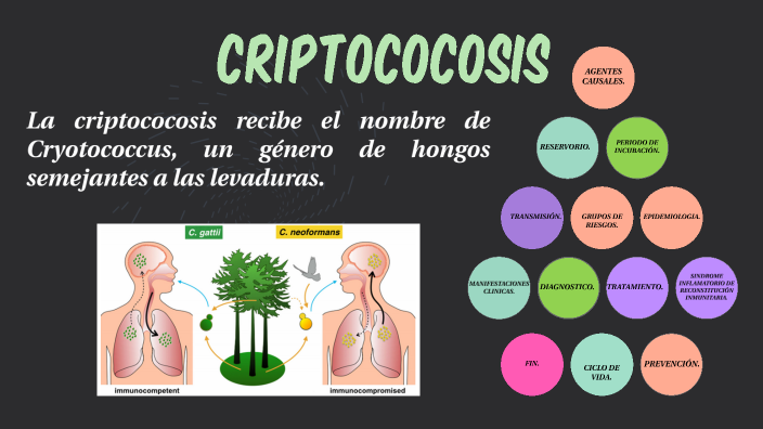 Criptococosis by Ivonne Nolasco on Prezi