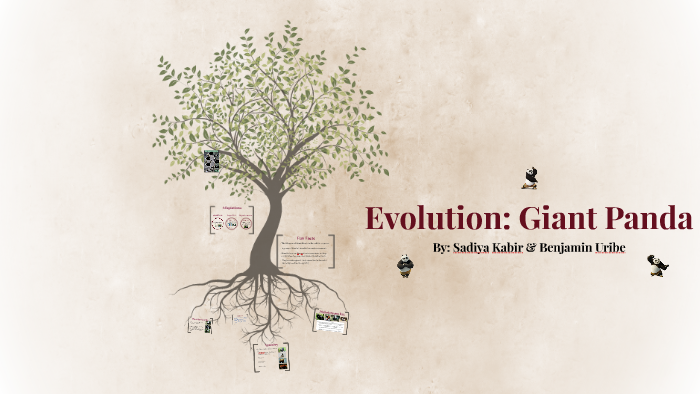 Evolution: Giant Panda by Benjamin Uribe