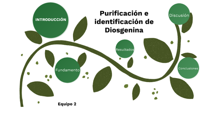 Purificación e identificación de Diosgenina by Ivan360aleX on Prezi