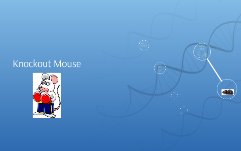 Knockout Mouse by Keagan Barnes on Prezi