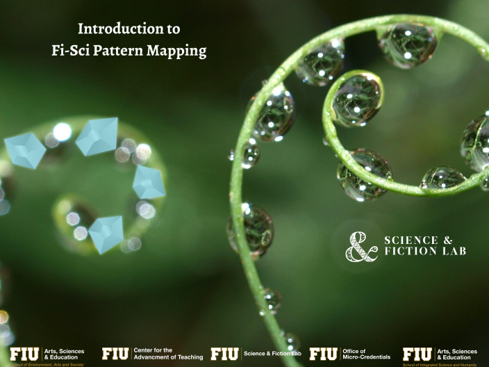 Introduction to Fi-Sci Pattern Mapping by Rhona Trauvitch on Prezi