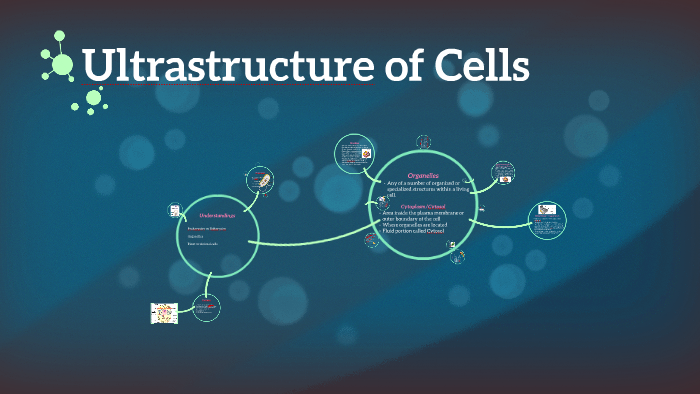 Ultrastructure of Cells by Peter Long