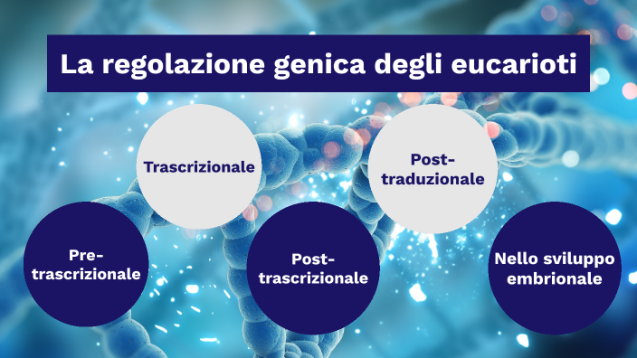 Regolazione genica degli eucarioti by Matteo Pisciottano on Prezi