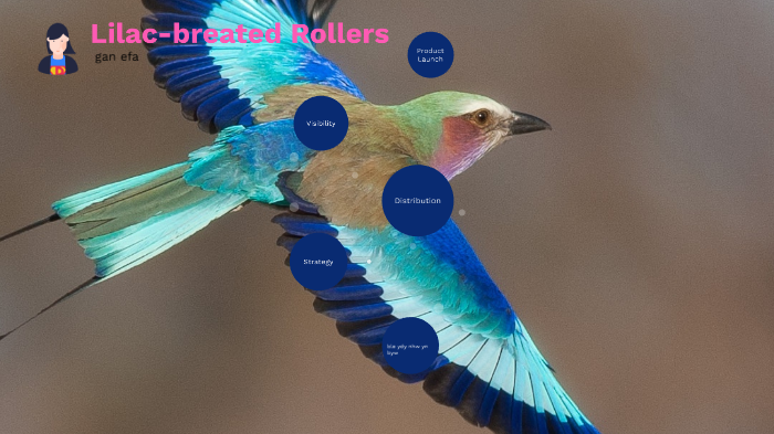 {"type":"PreziDoc","doc":"