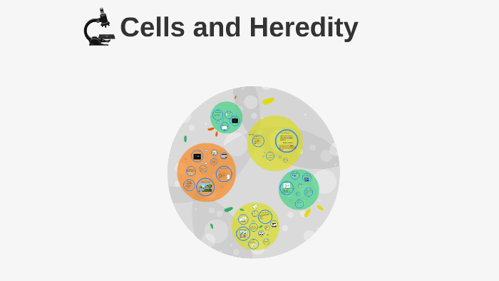 Cells and Heredity by Science Rocks on Prezi