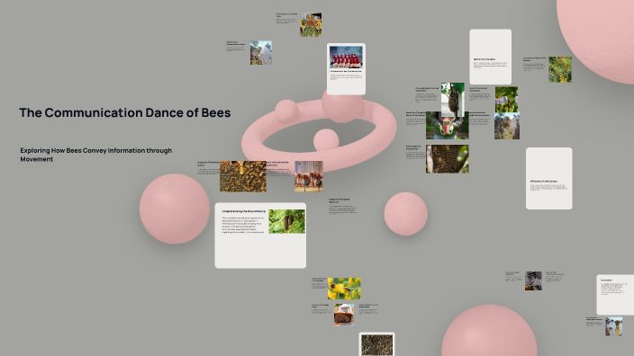 The Communication Dance of Bees by Jiya Lakhani on Prezi