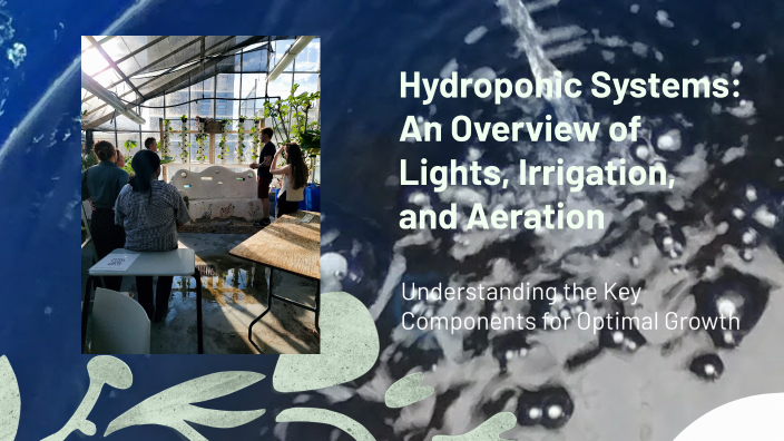 Hydroponic Systems: An Overview of Lights, Irrigation, and Aeration by ...