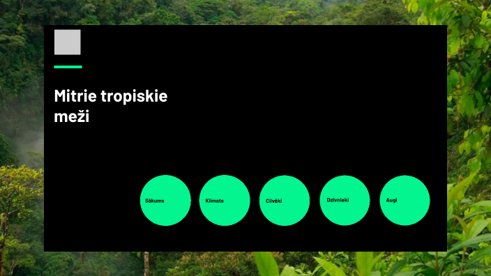 Mitrie tropiskie meži by Alekss Šīmanis on Prezi