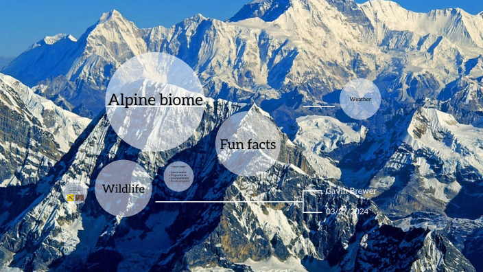 Alpine Biome by Gavin Brewer on Prezi