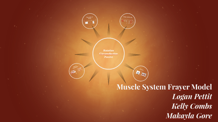 Rotation and Circumduction (Muscle System Frayer Model) by Logan Pettit ...