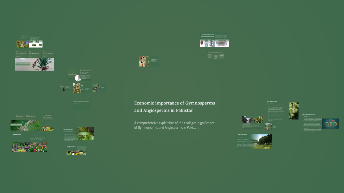 Exploring Gymnosperms and Angiosperms in Pakistan by Ali Abdullah on Prezi