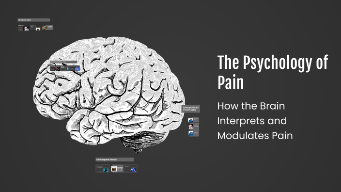 The Psychology of Pain by Elaina Lester-Dame on Prezi