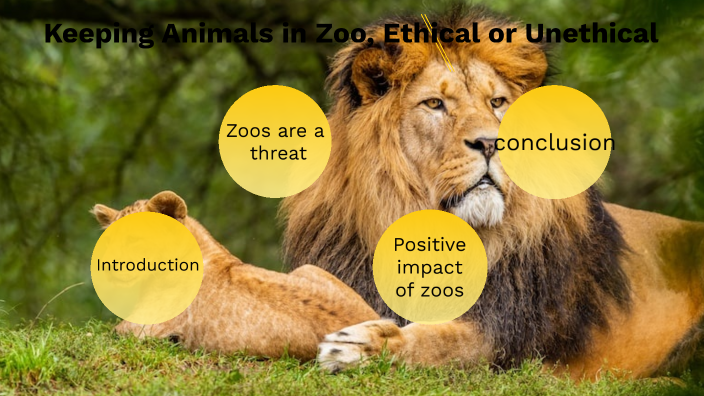 Keeping animals in zoo, ethical or unethical.. by Devanshi Bahri on Prezi