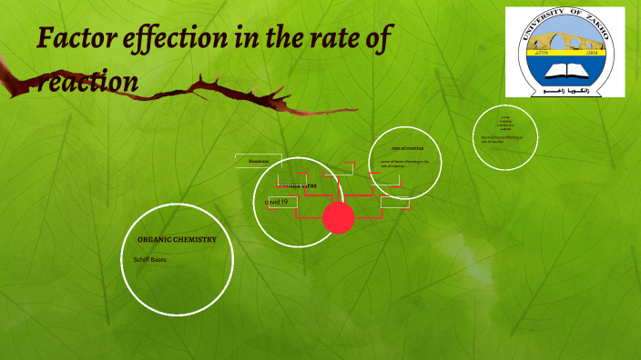 Factor effection in the rate of reaction by Bashar Saleh on Prezi