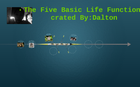 The Five Basic Life Functions by REBECCA BAGGETT on Prezi
