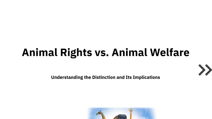 Animal Rights vs. Animal Welfare by Misty Toliver on Prezi