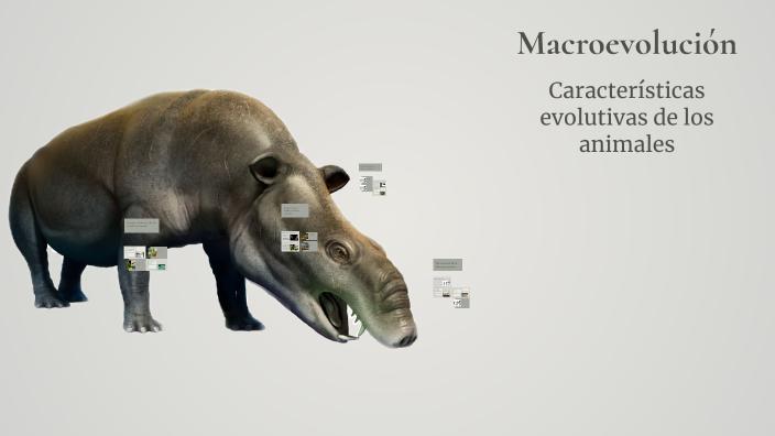 Macroevolución by Carlos Serrato on Prezi