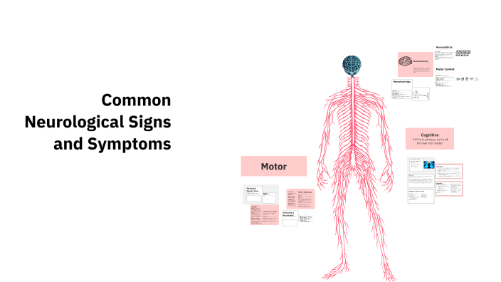Common Neurological Signs and Symptoms by Matthew Harris on Prezi