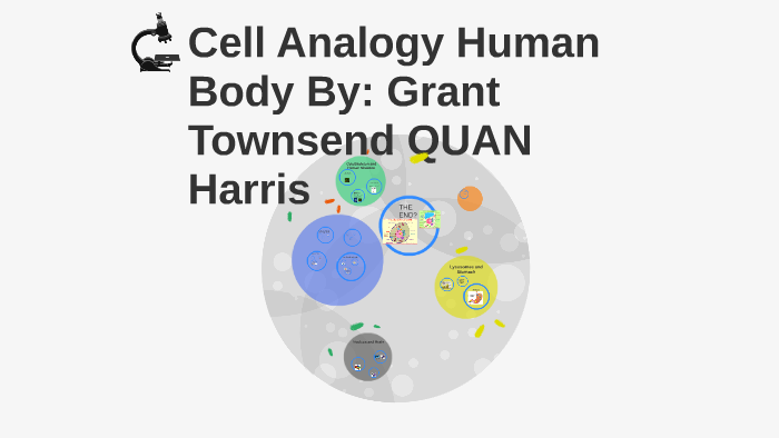 Cell Analogy Human Body By: Grant Townsend QUAN Harris by Grant Townsend on Prezi