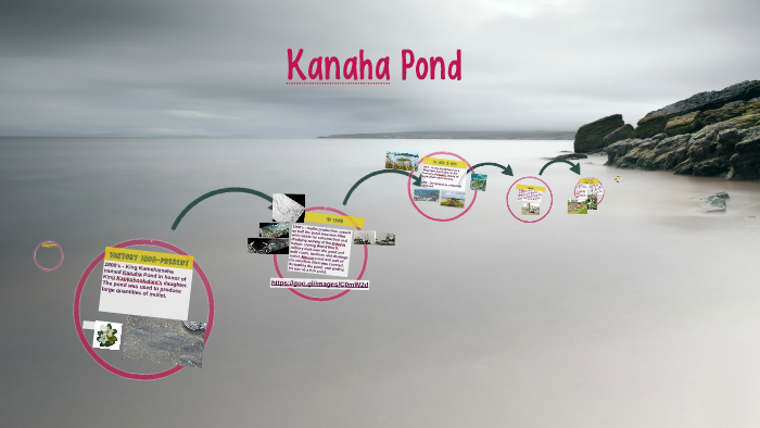 Kanaha Pond by Laura Johnson on Prezi