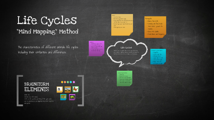 Life cycles graphic organizer by Tawni Gutierrez on Prezi