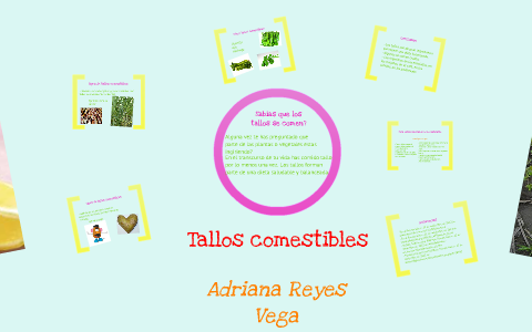 Tallos comestibles by Adriana Reyes on Prezi