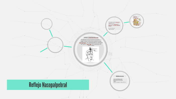 Reflejo Nasopalpebral by Keila Arteaga on Prezi